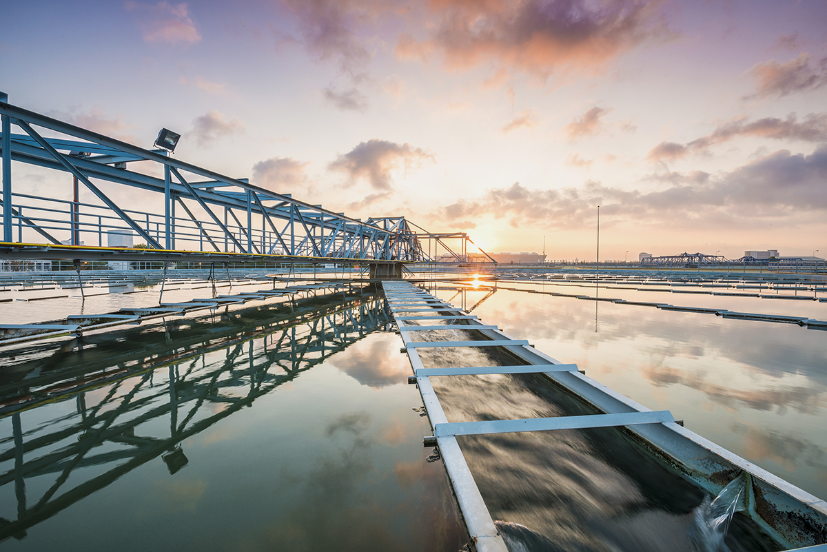 waterplant-at-sunset - Alabama Carriers